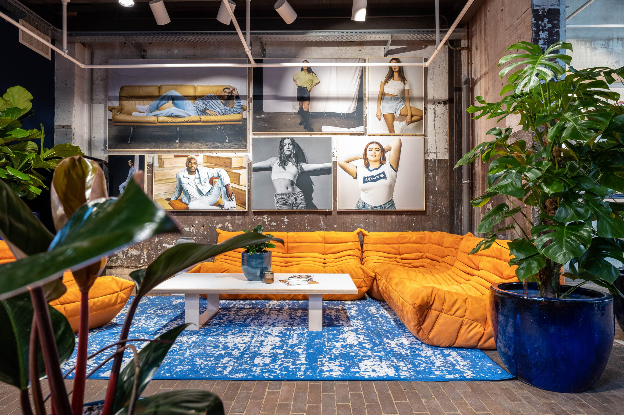 Levi's - Lucky Fox - UK Visual Merchandising company